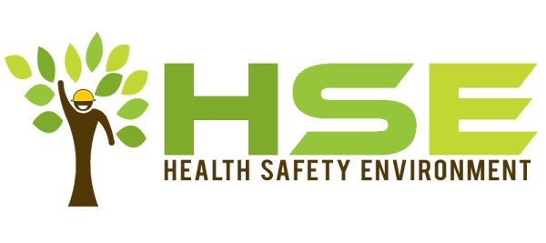 hse logo last - CV Diorama Success